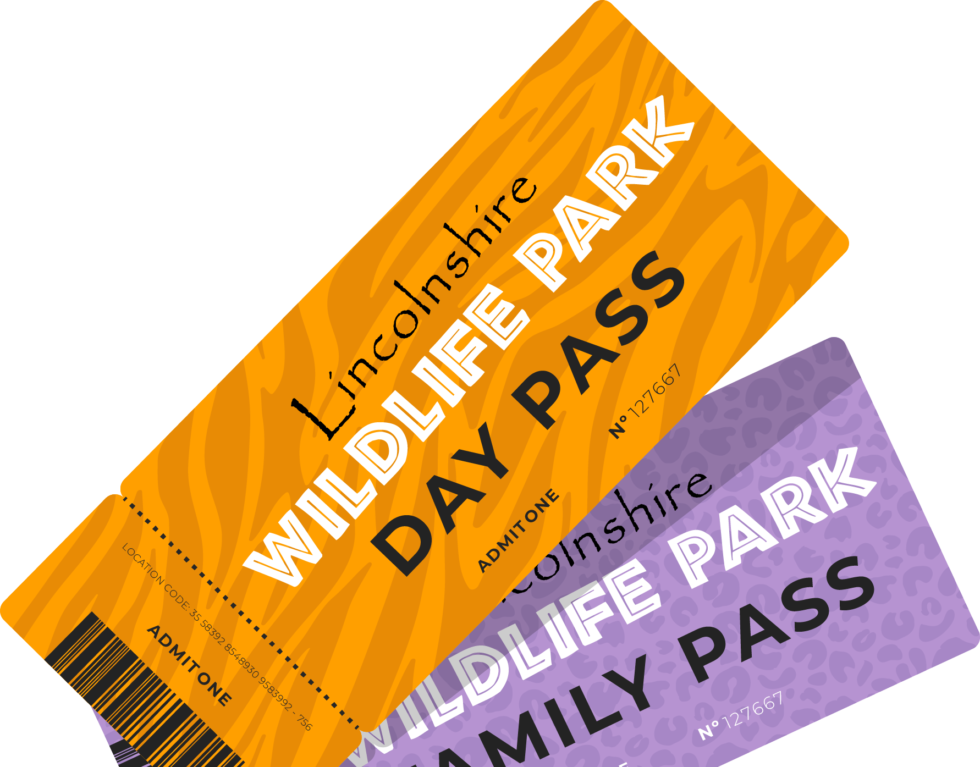 Lincolnshire Wildlife Park - A Great Family Day Out