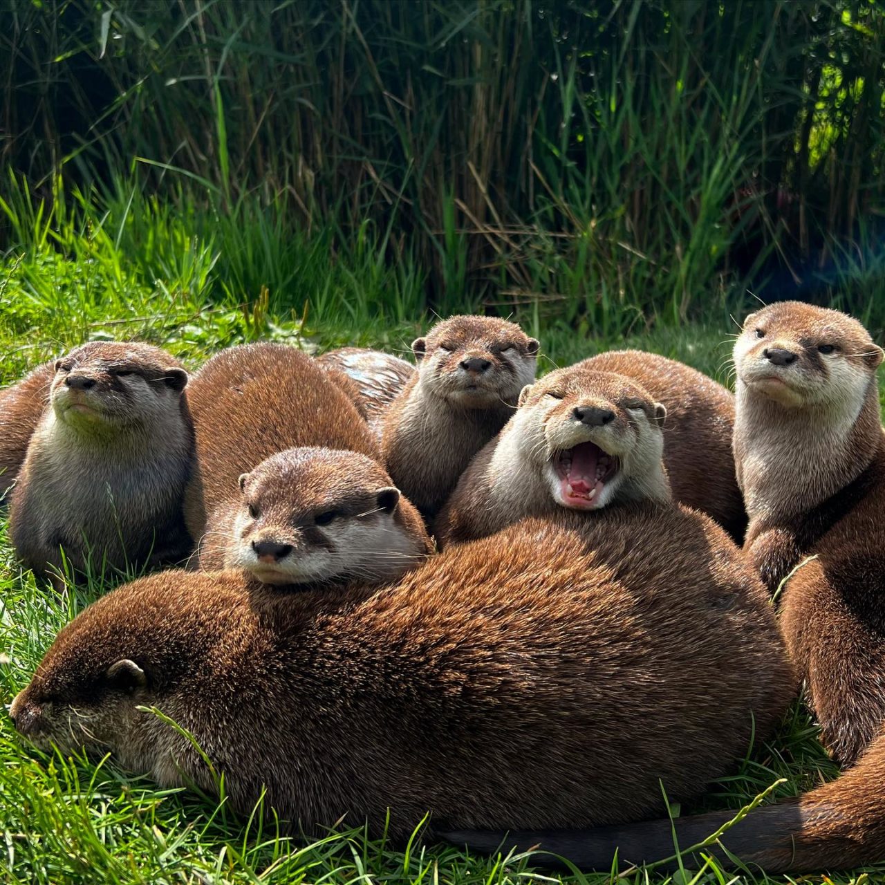 Plan Your Visit - Lincolnshire Wildlife Park