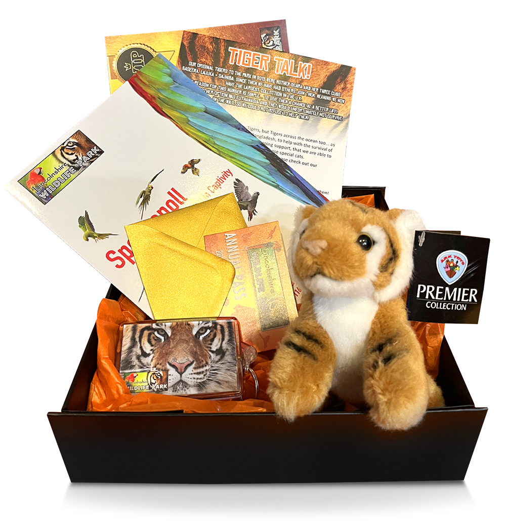 Shop - Lincolnshire Wildlife Park