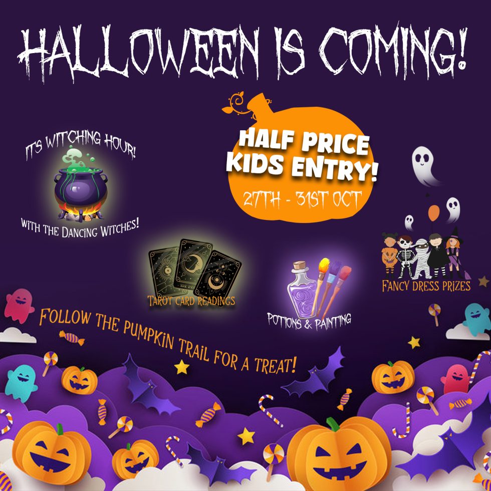 halloween-at-lwp-lincolnshire-wildlife-park